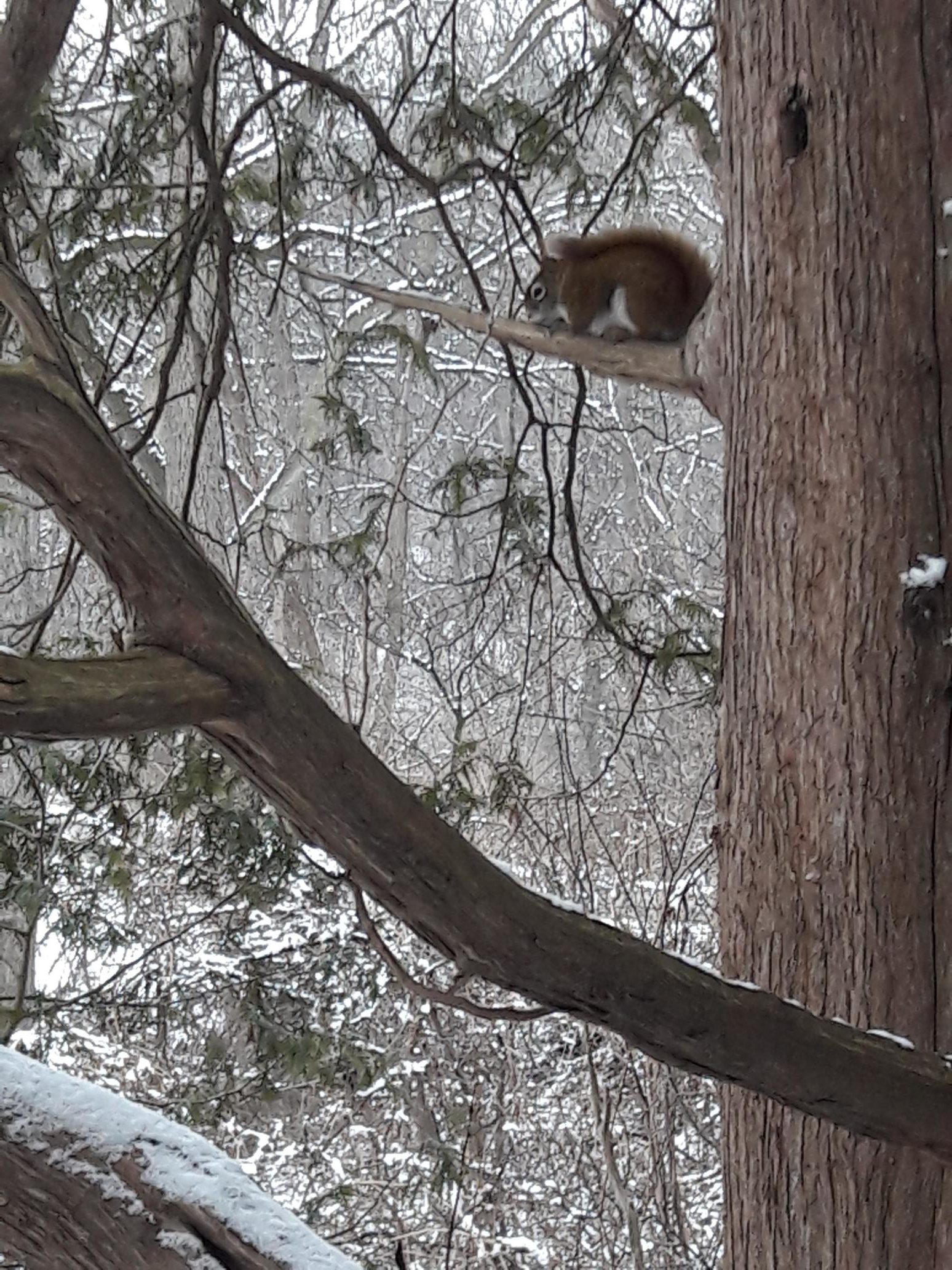 The Blog – A Measure of Light